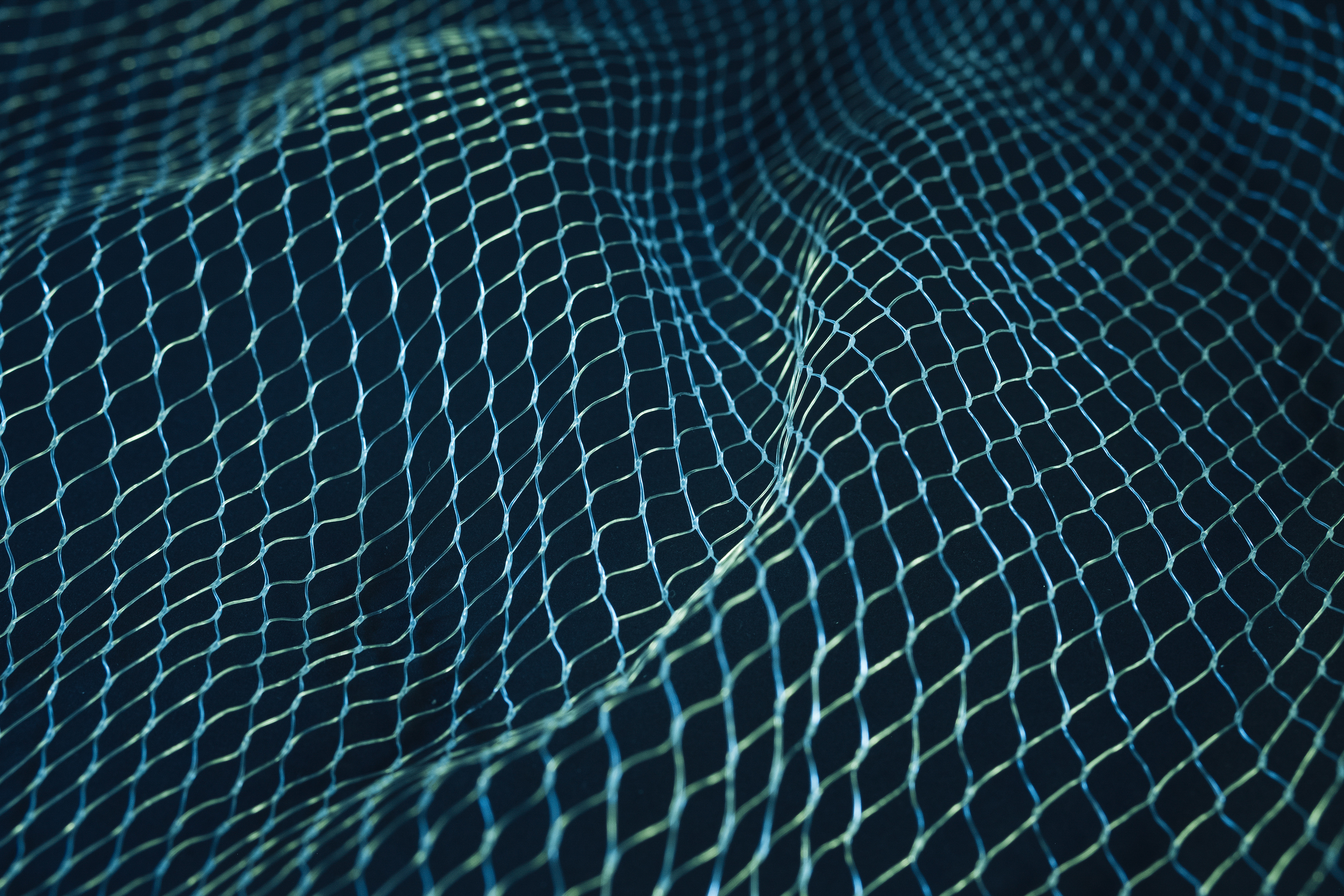 2021 Slow Shift Trends